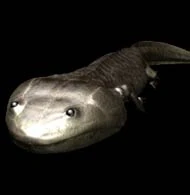 Koolasuchus | Mesozoic Era Wiki | Fandom