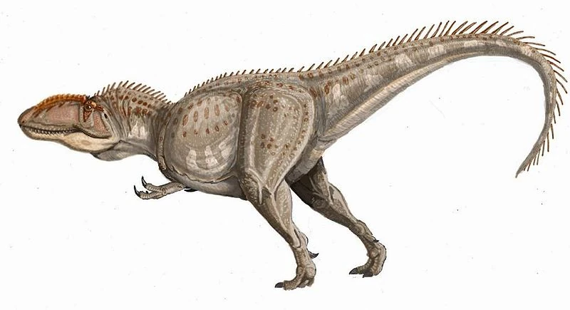 Giganotosaurus | Wiki Mesozoico | Fandom