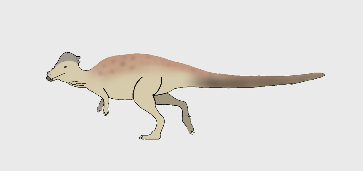Pachycephalosaurus | MesozoicTheGame Wiki | Fandom