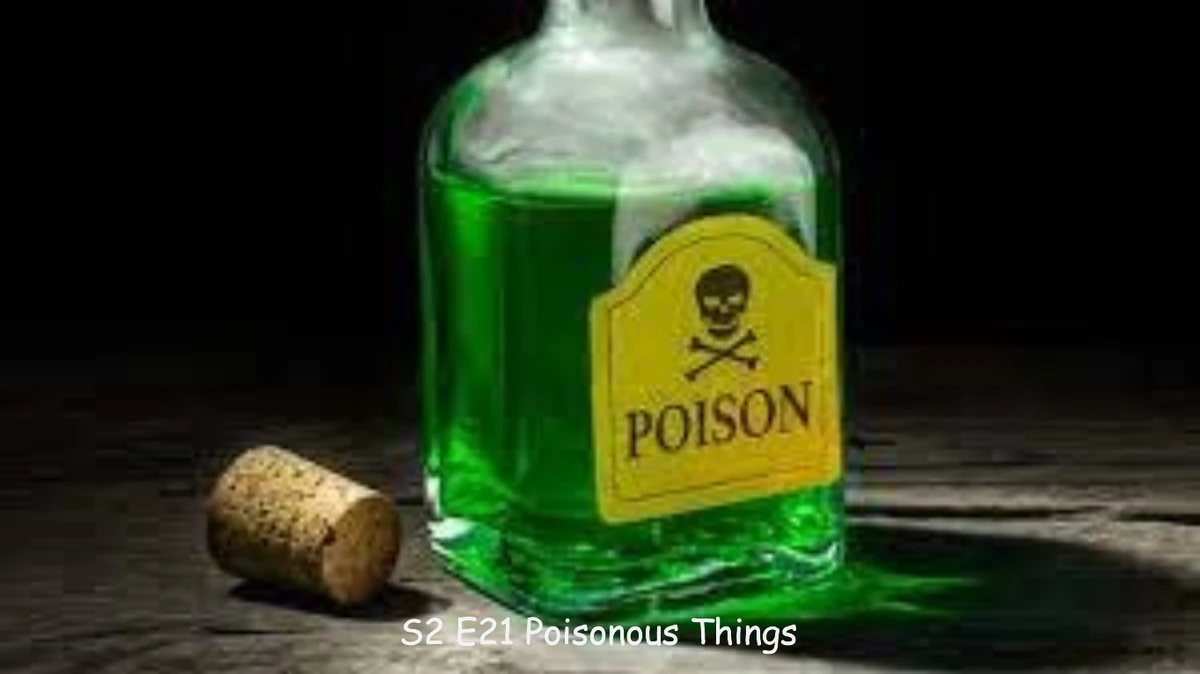 Poisonous Things | Metal Man Series And Films Wiki | Fandom
