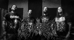 Cephalotripsy | Metal Wiki | Fandom