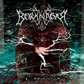 Borknagar - Empiricism | Metalfields Wiki | Fandom