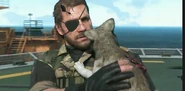 DD | Metal Gear Wiki | Fandom