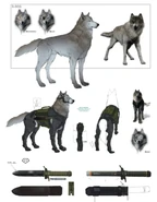 DD | Metal Gear Wiki | Fandom