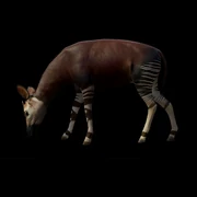 Animals in Metal Gear Solid V: The Phantom Pain | Metal Gear Wiki | Fandom