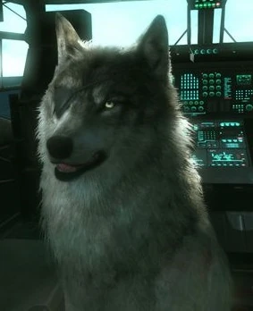 D.D. | Metal Gear Wiki | Fandom