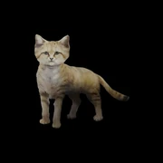 Animals in Metal Gear Solid V: The Phantom Pain | Metal Gear Wiki | Fandom