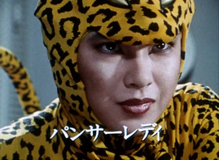 Panther Lady | Metal Heroes Wiki | Fandom