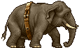 Elephant Slug | Metal Slug Wiki | Fandom