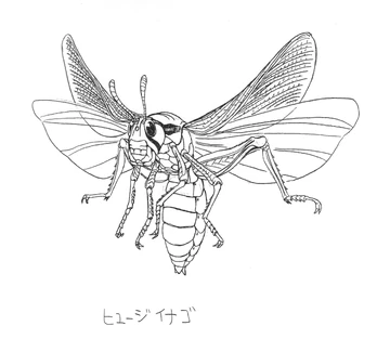 Locust Flying Drawing