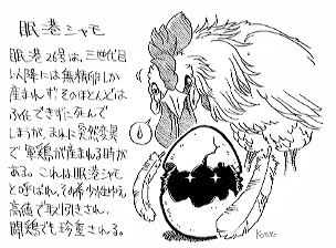 Chicken | Metal Slug Wiki | Fandom