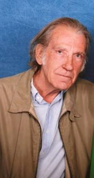 Mr Stitches | Metalverse Wiki | Fandom