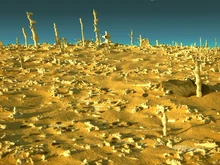 Menphsya | The Metamo Archives Wiki | Fandom