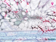 Globin | Metamo Ark Wikia | Fandom