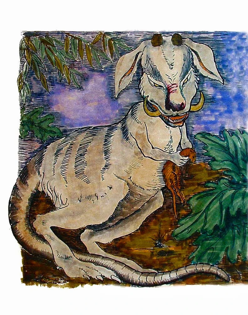 Bunyip | MetaphysicStudy Wiki | Fandom