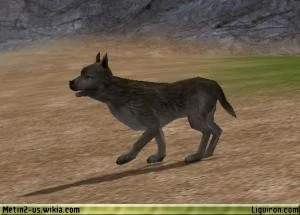 Monster List | Metin2.us Wiki | Fandom