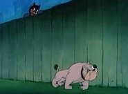 The Alley Cat | MGM Cartoons Wiki | Fandom