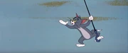 Tom Cat | MGM Cartoons Wiki | Fandom