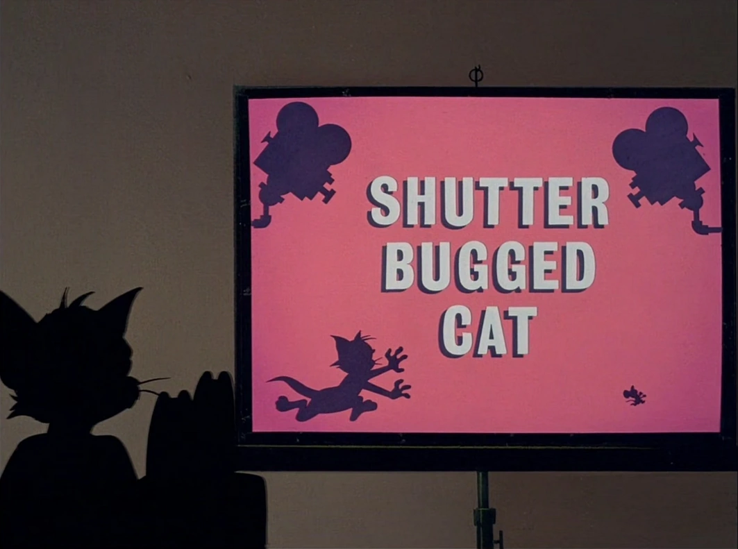 Shutter Bugged Cat | MGM Cartoons Wiki | Fandom
