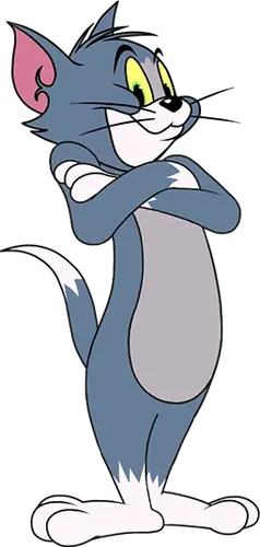 Tom Cat | MGM Cartoons Wiki | Fandom
