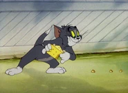 Flirty Birdy | MGM Cartoons Wiki | Fandom