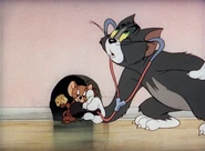 Mouse Trouble | MGM Cartoons Wiki | Fandom