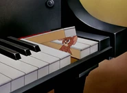 The Cat Concerto | MGM Cartoons Wiki | Fandom