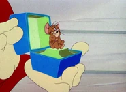 Flirty Birdy | MGM Cartoons Wiki | Fandom