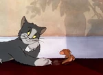 Tom Cat | MGM Cartoons Wiki | Fandom
