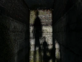 Ghosts (Phenomenon) | Metro Wiki | Fandom