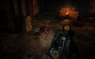 Lurker | Metro Wiki | Fandom