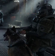 Dog | Metro Wiki | Fandom