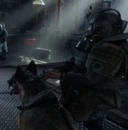 Hund | Metro Wiki | Fandom