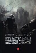 Metro 2034 | Metro Wiki | Fandom