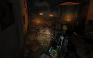 Lurker | Metro Wiki | Fandom