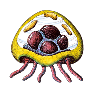 Metroid larva | Wikitroid | Fandom