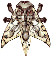 Lumite | Wikitroid | Fandom