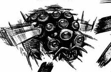 Imago | Wikitroid | Fandom