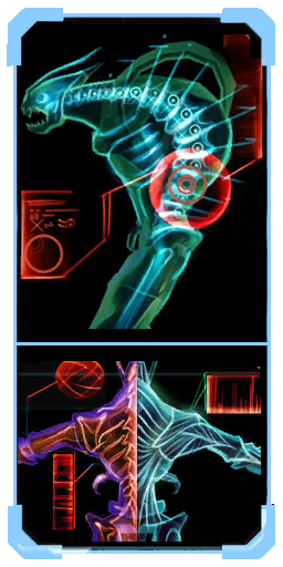 Data:Metroid Prime/Scans/Frigate Orpheon/Emergency Evacuation Area/Space Pirate | Wikitroid | Fandom