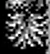 Poison (Disambiguation) | Wikitroid | Fandom