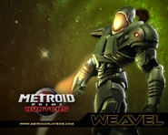 Weavel | Wikitroid | Fandom