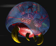 Metroid (species) | Wikitroid | Fandom