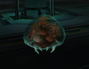 Metroid larva | Wikitroid | Fandom