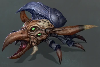 Beetle | Wikitroid | Fandom