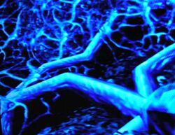 Phazon | Metroidover | Fandom