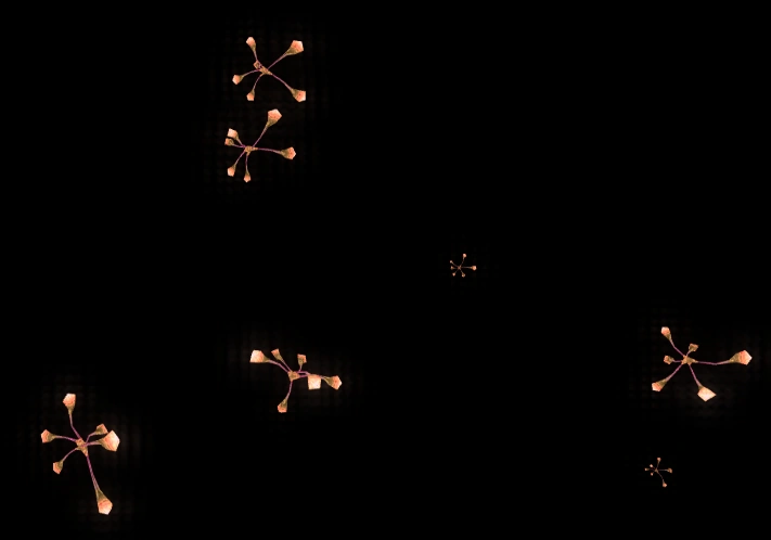 Bryyo spores | Wikitroid | Fandom