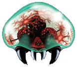 Metroid | Metroid Wiki | Fandom
