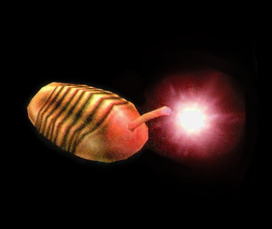 Zuru | Wikitroid | Fandom