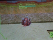 Zoomer | Metroidover | Fandom