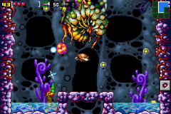 Imago | Wikitroid | Fandom